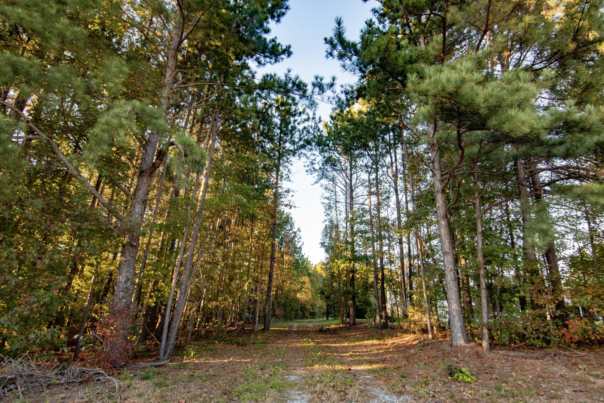 3+/- Acre Wooded Lot With Mountain & Golf Course Views | Metcalf Land ...