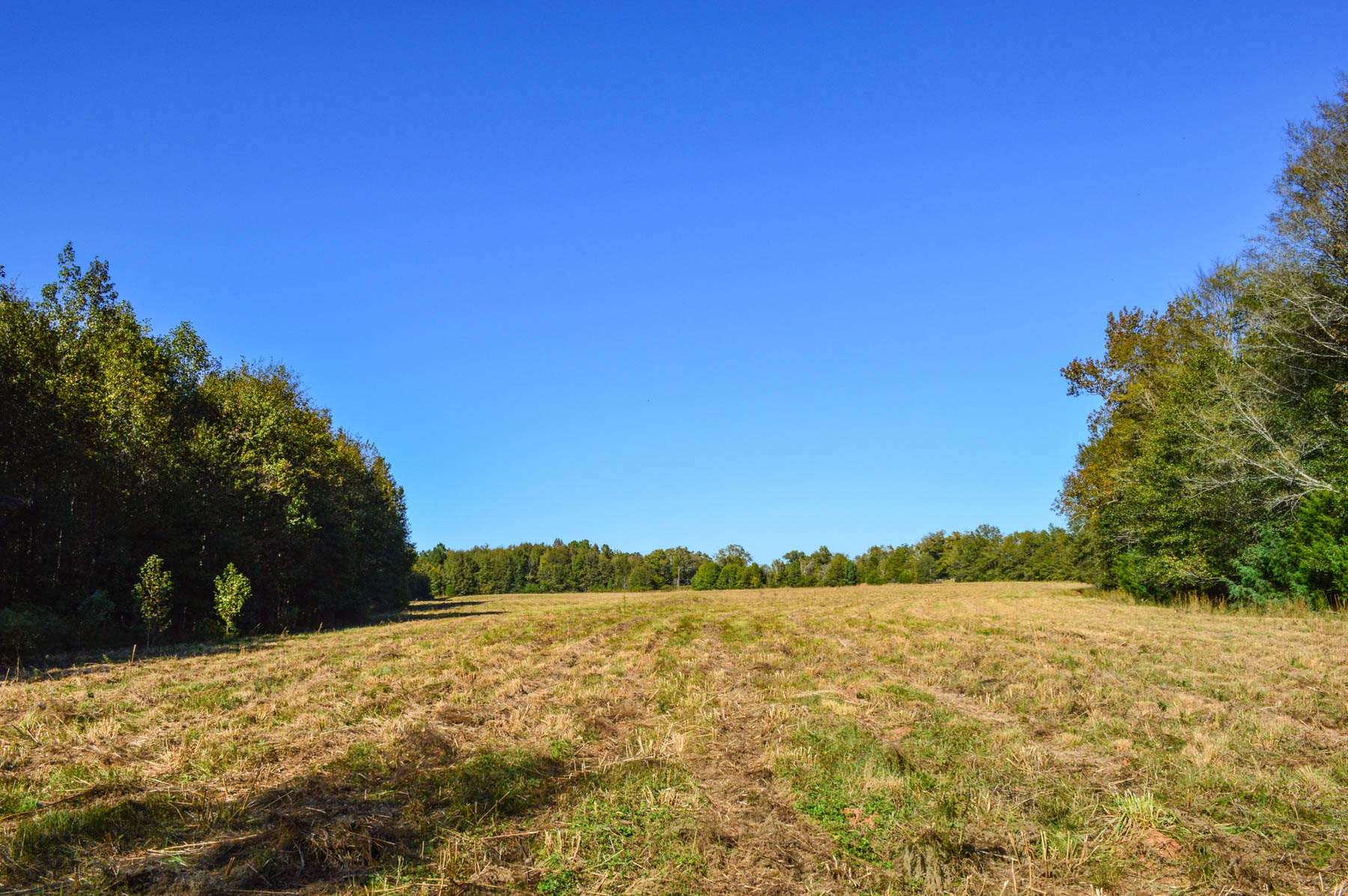 11.19 Acres Of Level, Open Land Near Moore | Metcalf Land Company Inc