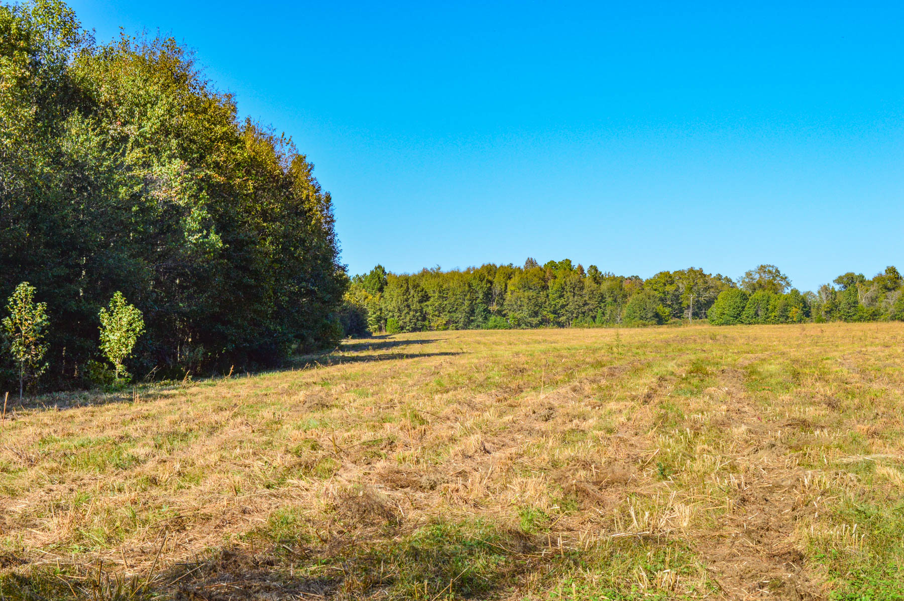 11.19 Acres Of Level, Open Land Near Moore | Metcalf Land Company Inc