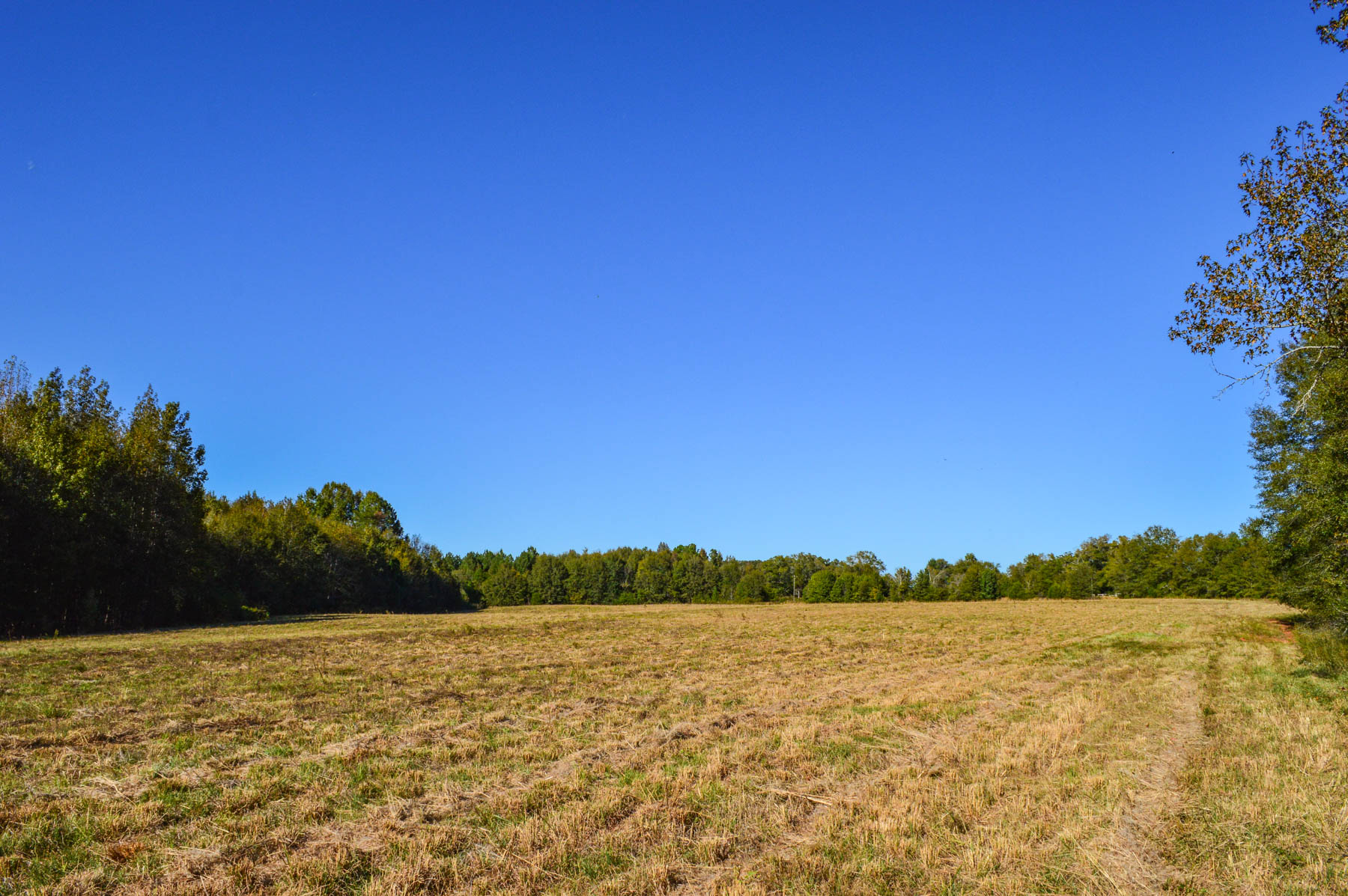 11.19 Acres Of Level, Open Land Near Moore | Metcalf Land Company Inc