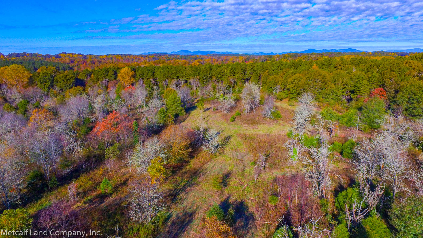 31.8 Acre Farm in New Prospect Area | Metcalf Land Company Inc