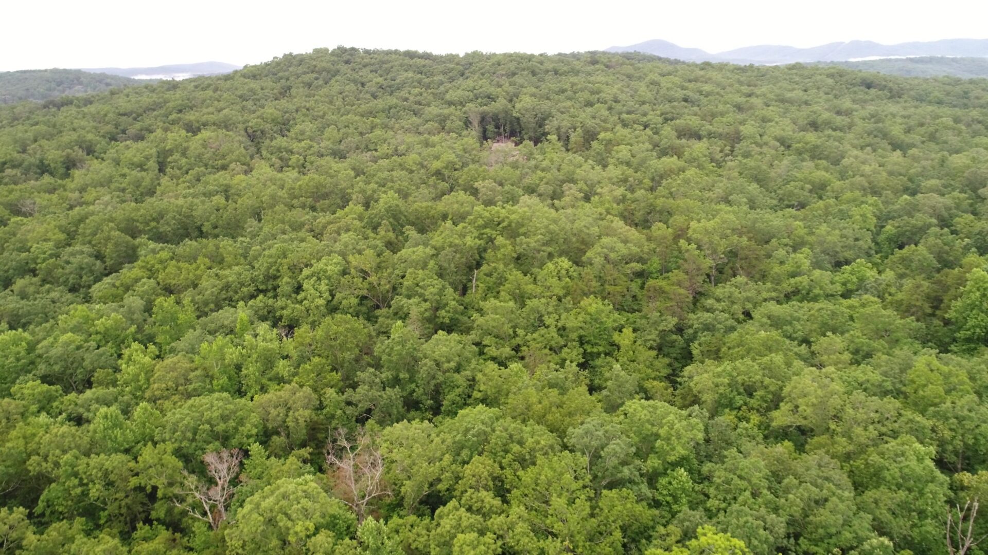 3 Reasons to Invest in Agriculture Land in South Carolina | Metcalf ...